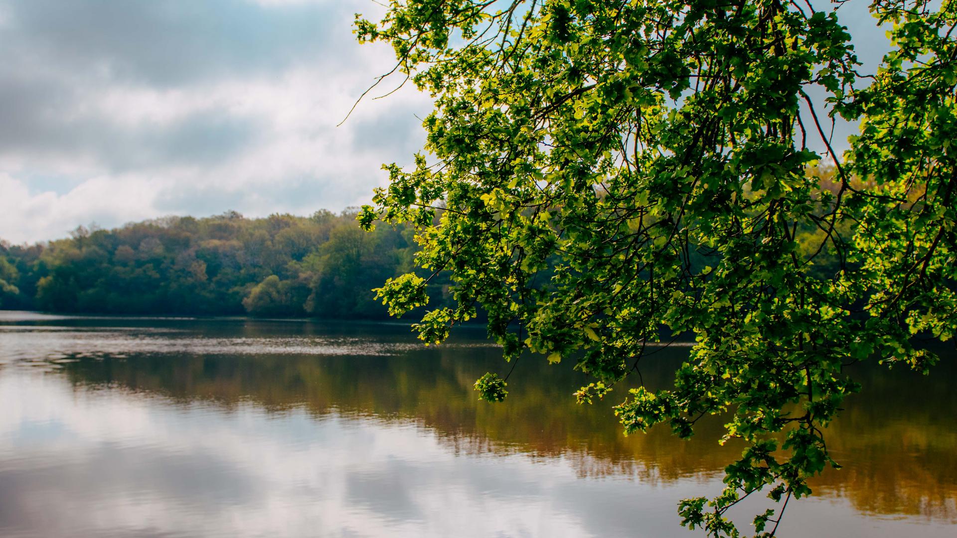 Tronçais Forêt d’Exception | Office de tourisme de vallée coeur de France