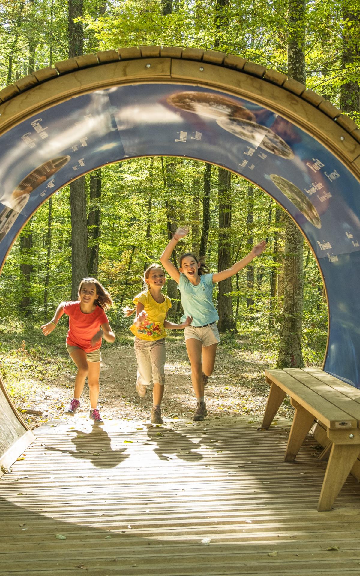 Majestueuse Forêt de Tronçais | Office de tourisme de vallée coeur de ...